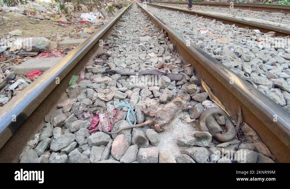 Laying railway tracks Stock Videos & Footage - HD and 4K Video Clips ...