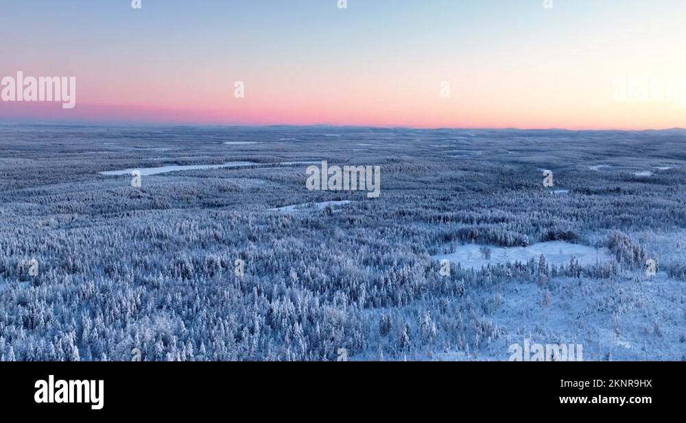 Sub arctic forest Stock Videos & Footage - HD and 4K Video Clips - Alamy