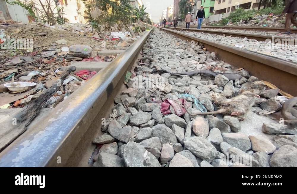 Close up view left to right of a mouse lying dead on the rail train ...