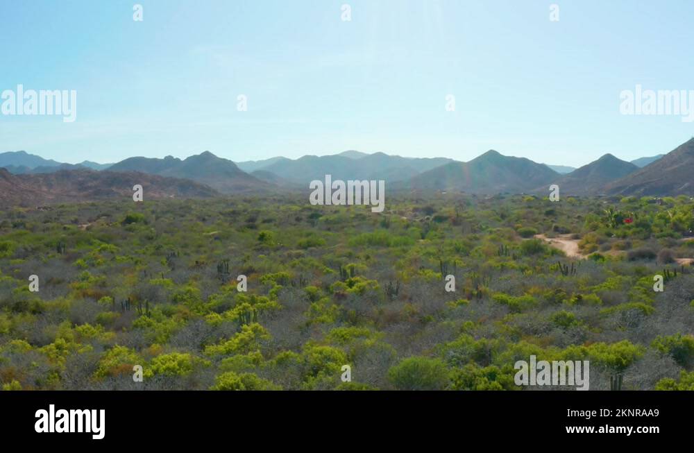 Scrub land background Stock Videos & Footage - HD and 4K Video Clips ...