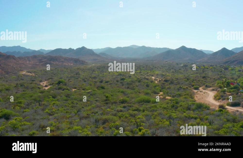 CABO PULMO BCS MEXICO-2021: A Vast And Complicated Forest Surrounded By ...