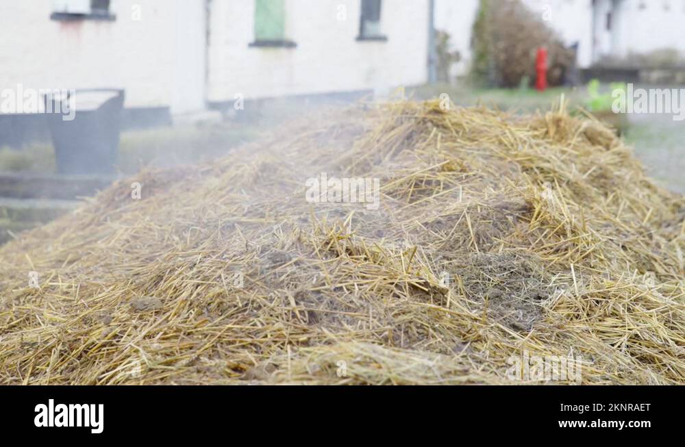 Farm manure heap Stock Videos & Footage - HD and 4K Video Clips - Alamy