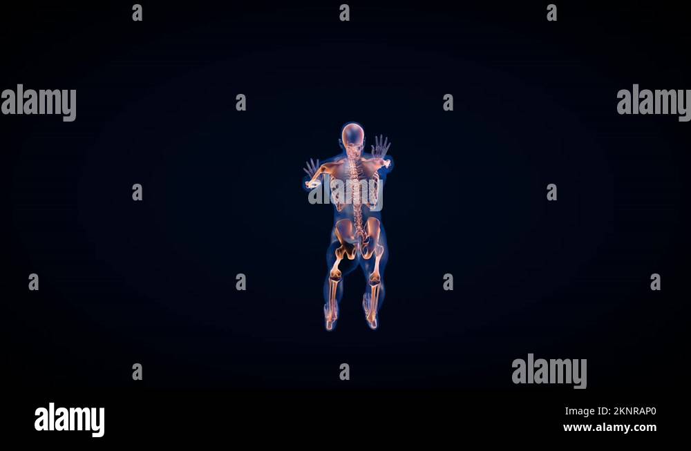 Human body ray view Stock Videos & Footage - HD and 4K Video Clips - Alamy