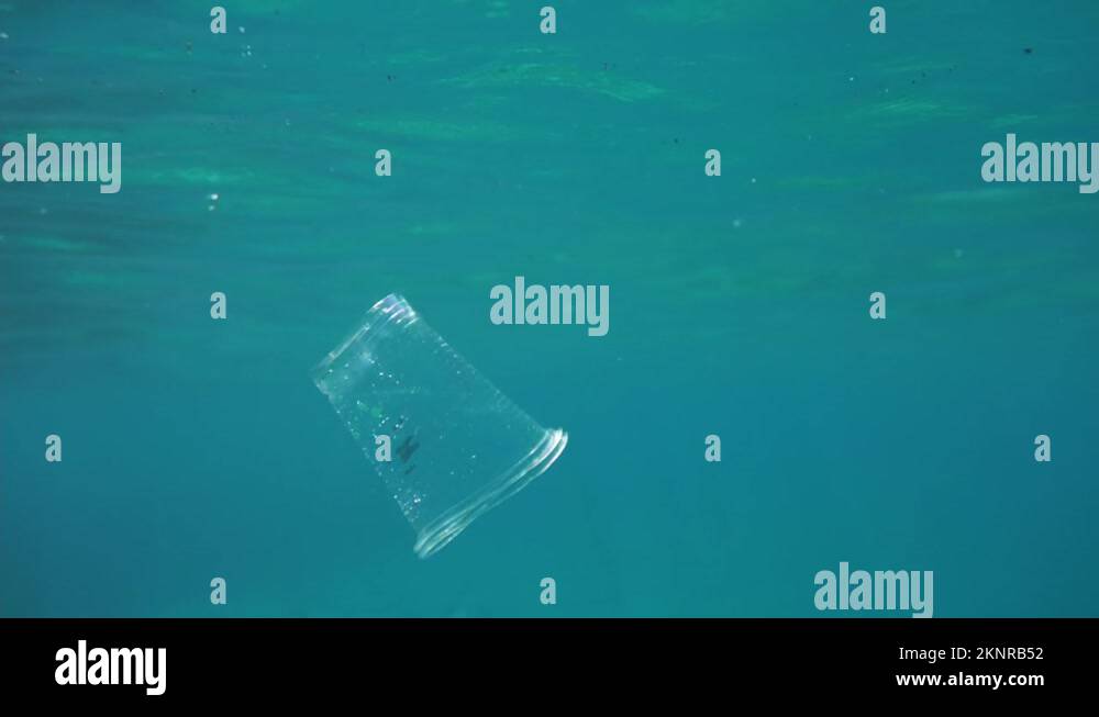 plastic cup in blue water, ocean plastic pollution, underwater video ...