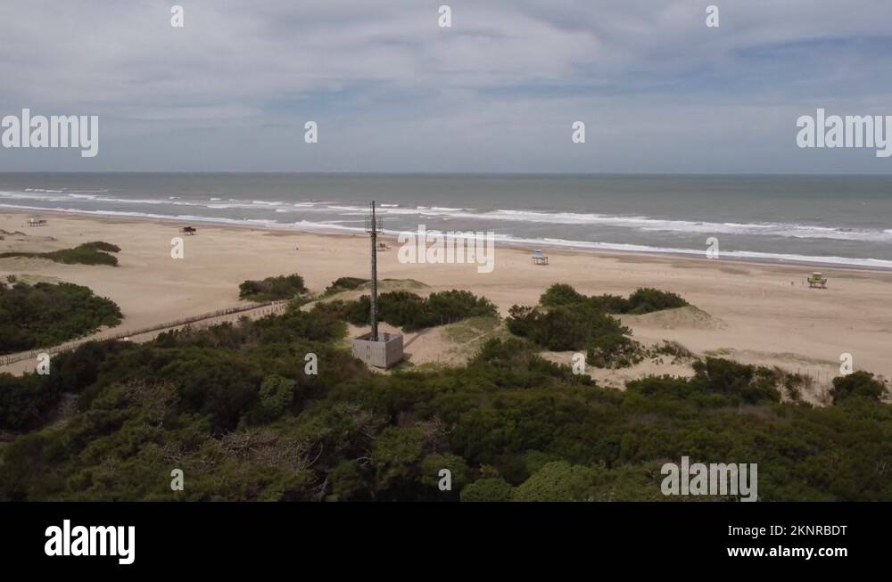 Green trees in front of ocean Stock Videos & Footage - HD and 4K Video ...