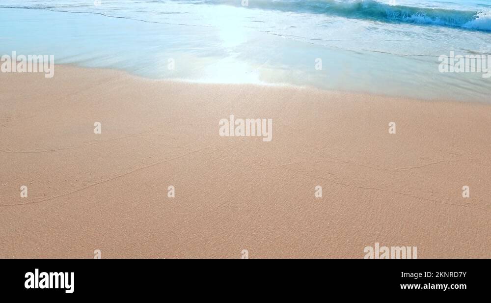 Clean and serene environment Stock Videos & Footage - HD and 4K Video ...