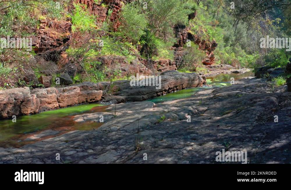 Wilderness area of South Australia national park nature reserve ...