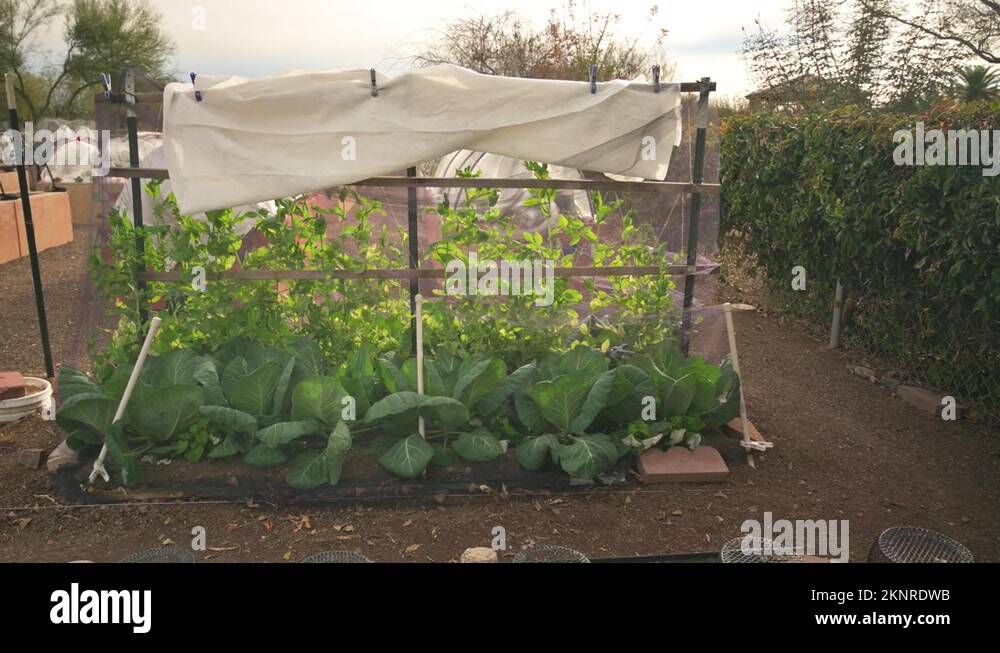 Raised vegetable beds Stock Videos & Footage - HD and 4K Video Clips ...