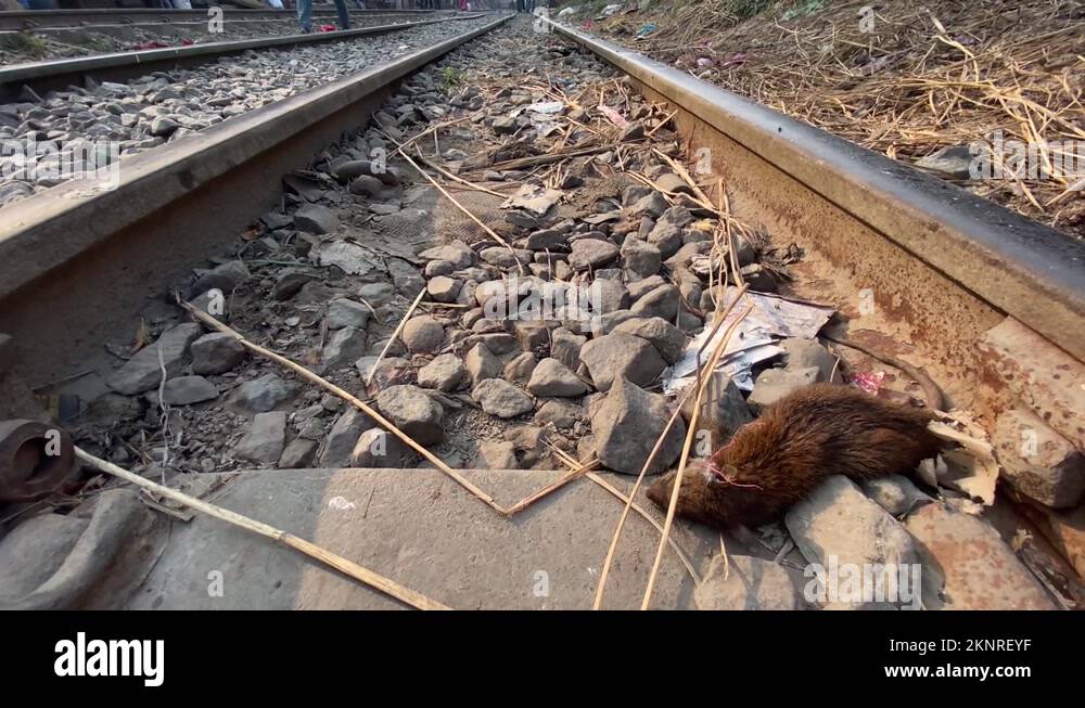 Concrete railway sleeper Stock Videos & Footage - HD and 4K Video Clips ...