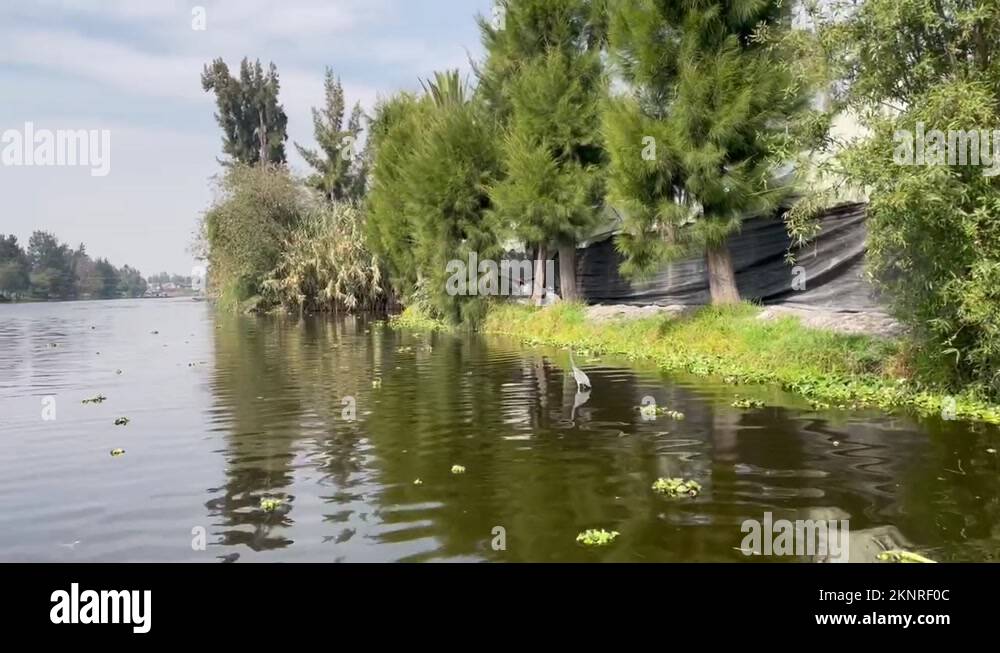 Chinampa of lake xochimilco Stock Videos & Footage - HD and 4K Video ...