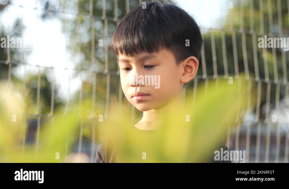 Boy with a sad facial expression Stock Videos & Footage - HD and 4K ...