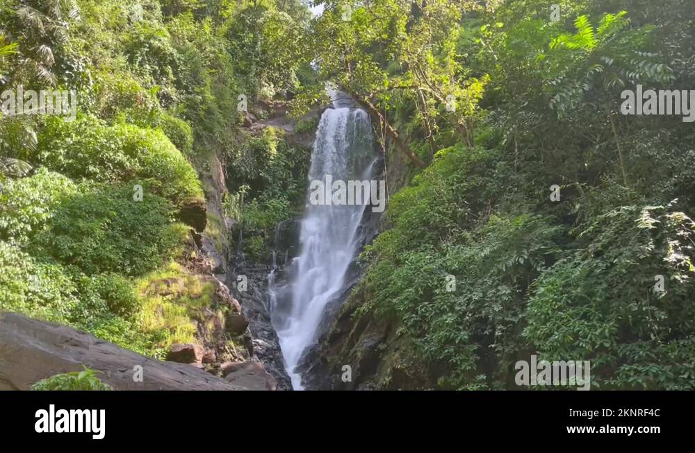 Savri Waterfall With Tropical Forest In Neturlim, India. - tilt down ...