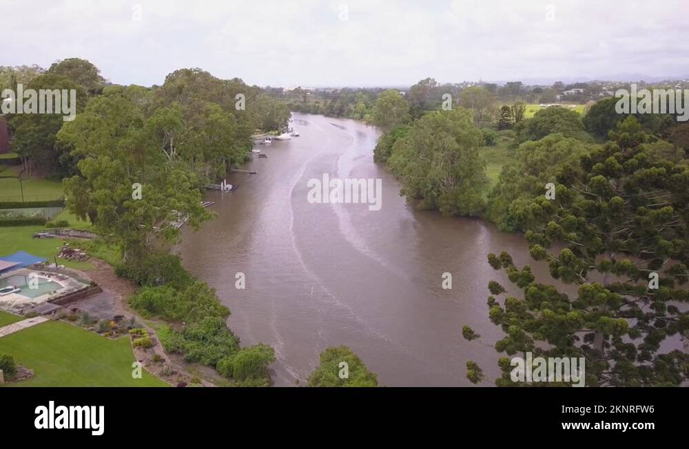 Nerang forest Stock Videos & Footage - HD and 4K Video Clips - Alamy