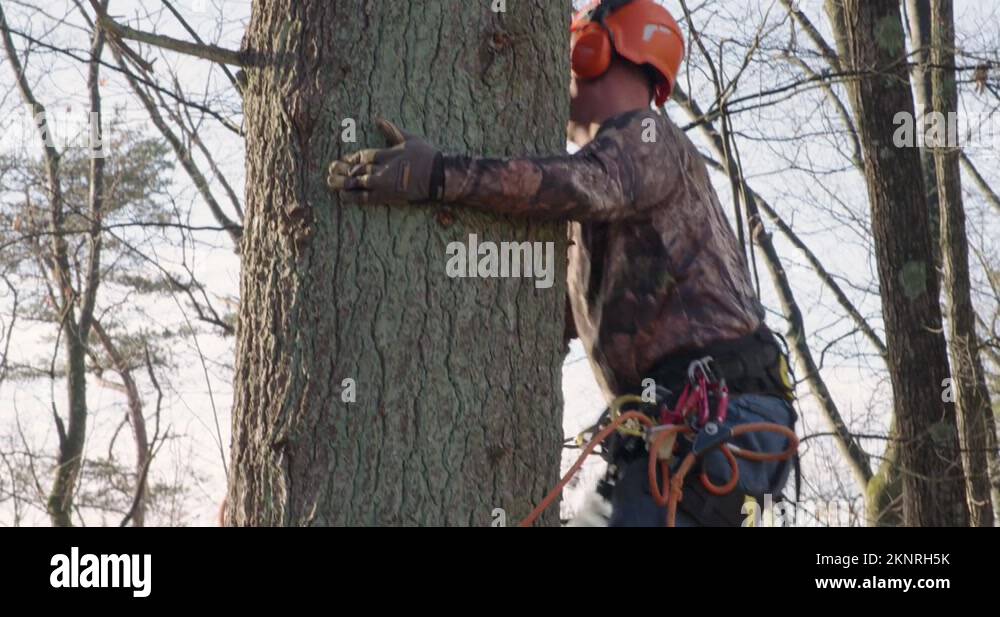 Cutting rigging Stock Videos & Footage - HD and 4K Video Clips - Alamy