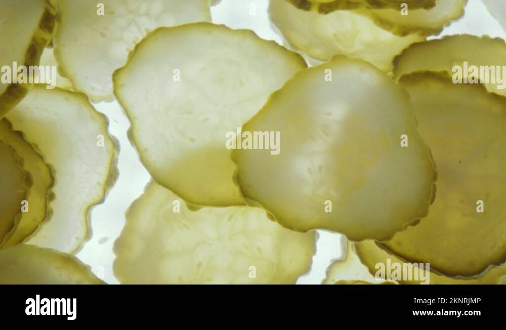 Pickle slice Stock Videos & Footage - HD and 4K Video Clips - Alamy