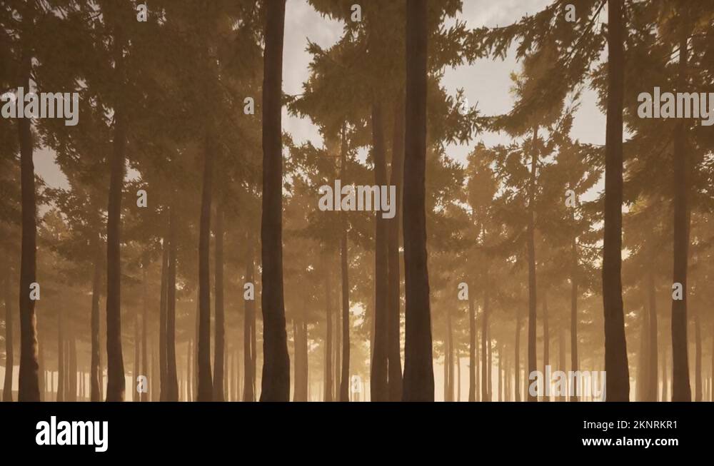 Smog climate Stock Videos & Footage - HD and 4K Video Clips - Alamy