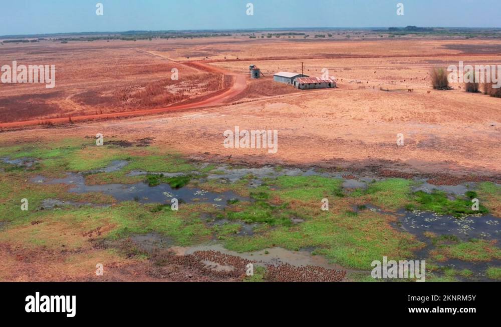 Outback australia cattle Stock Videos & Footage - HD and 4K Video Clips ...