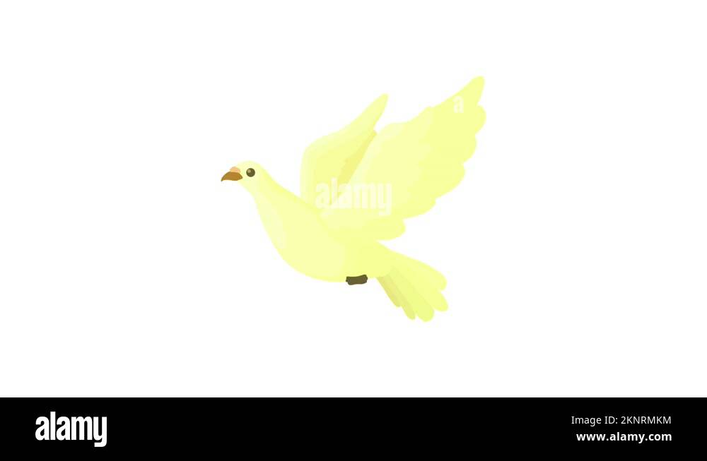 Dove logo Stock Videos & Footage - HD and 4K Video Clips - Alamy