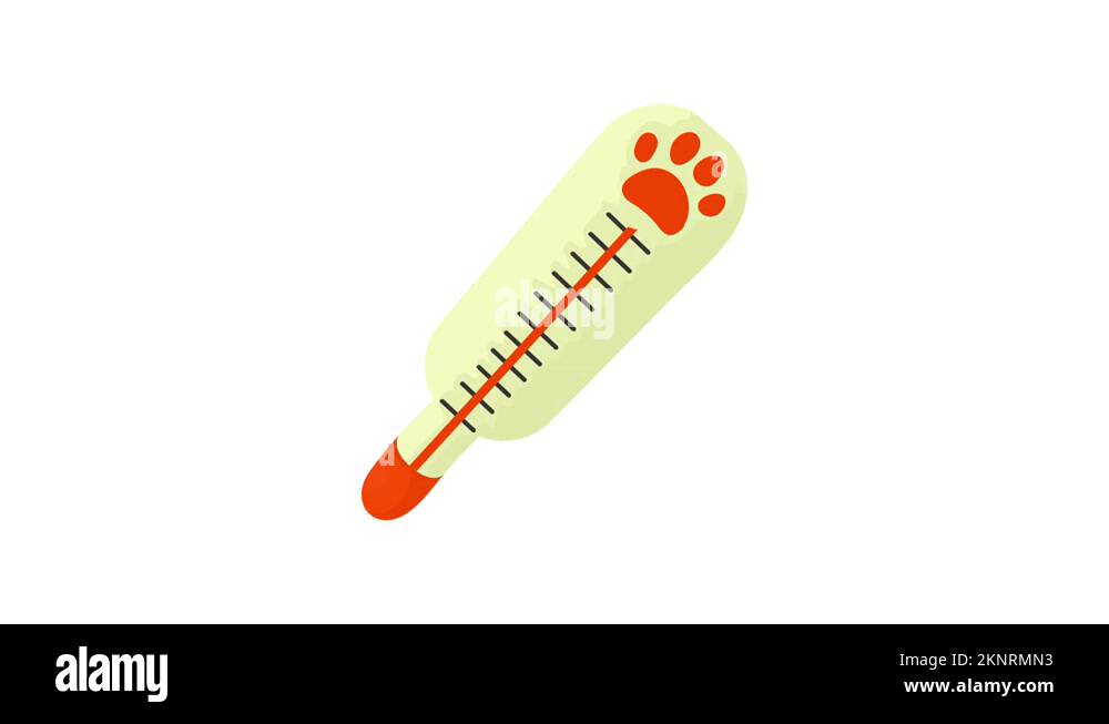 Cartoon thermometer Stock Videos & Footage - HD and 4K Video Clips - Alamy