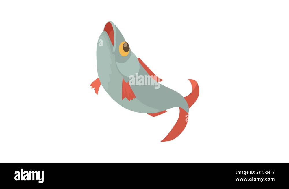 Flipper cartoon Stock Videos & Footage - HD and 4K Video Clips - Alamy