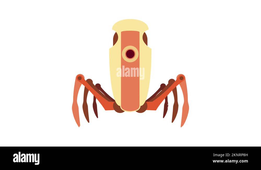 Cartoon robot spider Stock Videos & Footage - HD and 4K Video Clips - Alamy