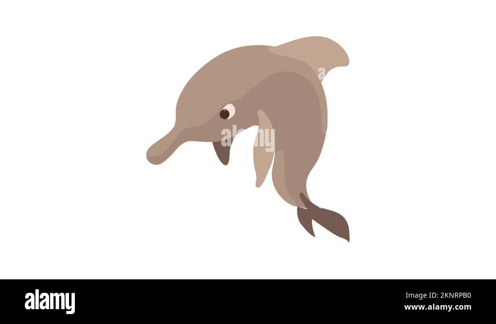 Funny dolphin cartoon Stock Videos & Footage - HD and 4K Video Clips ...