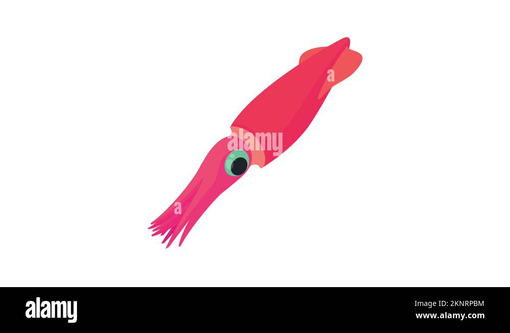 Calamari drawing Stock Videos & Footage - HD and 4K Video Clips - Alamy