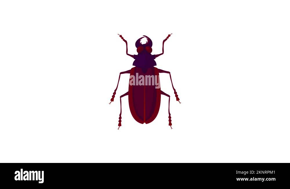 Bug icon animation Stock Video Footage - Alamy