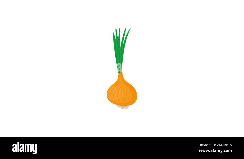 Onion cartoon Stock Videos & Footage - HD and 4K Video Clips - Alamy