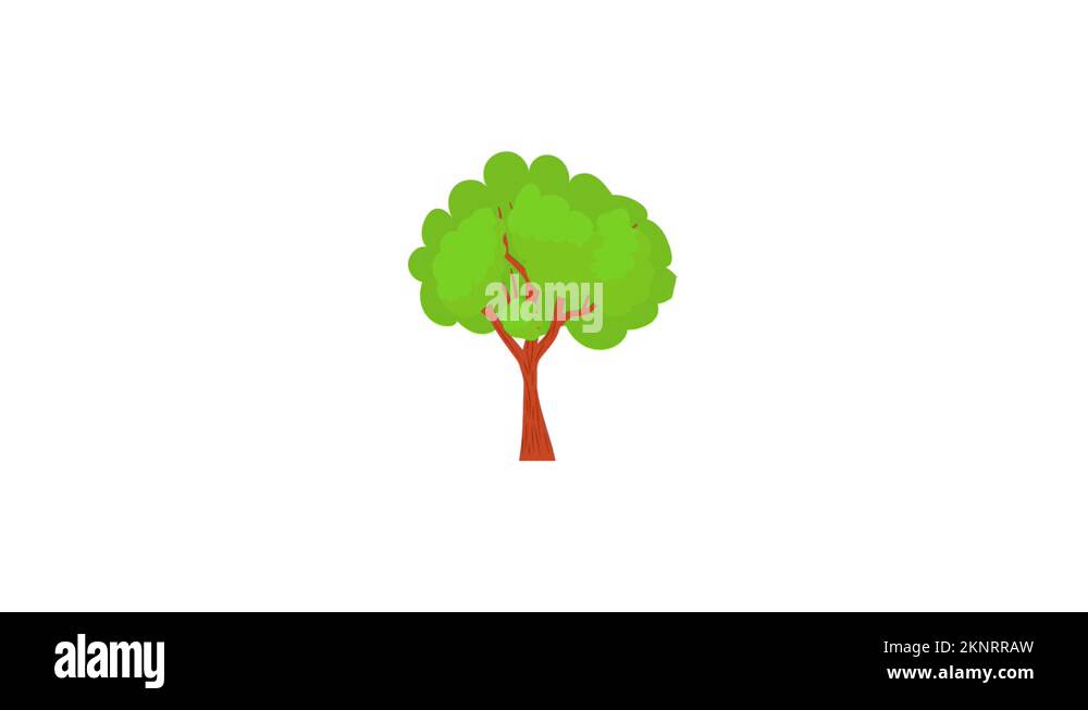 Rounded crown tree Stock Videos & Footage - HD and 4K Video Clips - Alamy