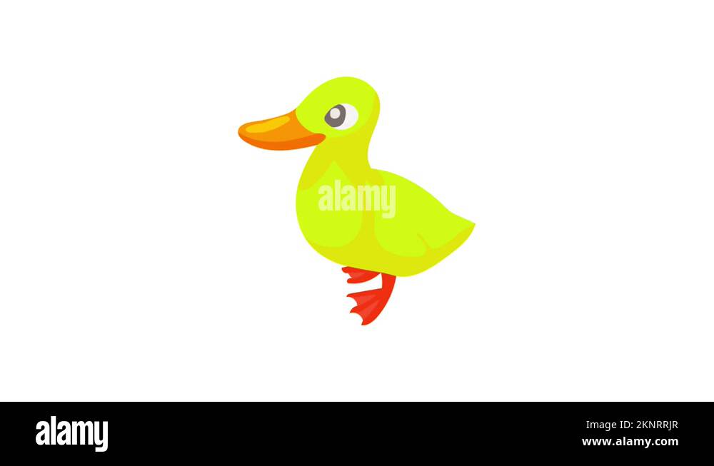 Cute duck cartoon icon Stock Videos & Footage - HD and 4K Video Clips ...