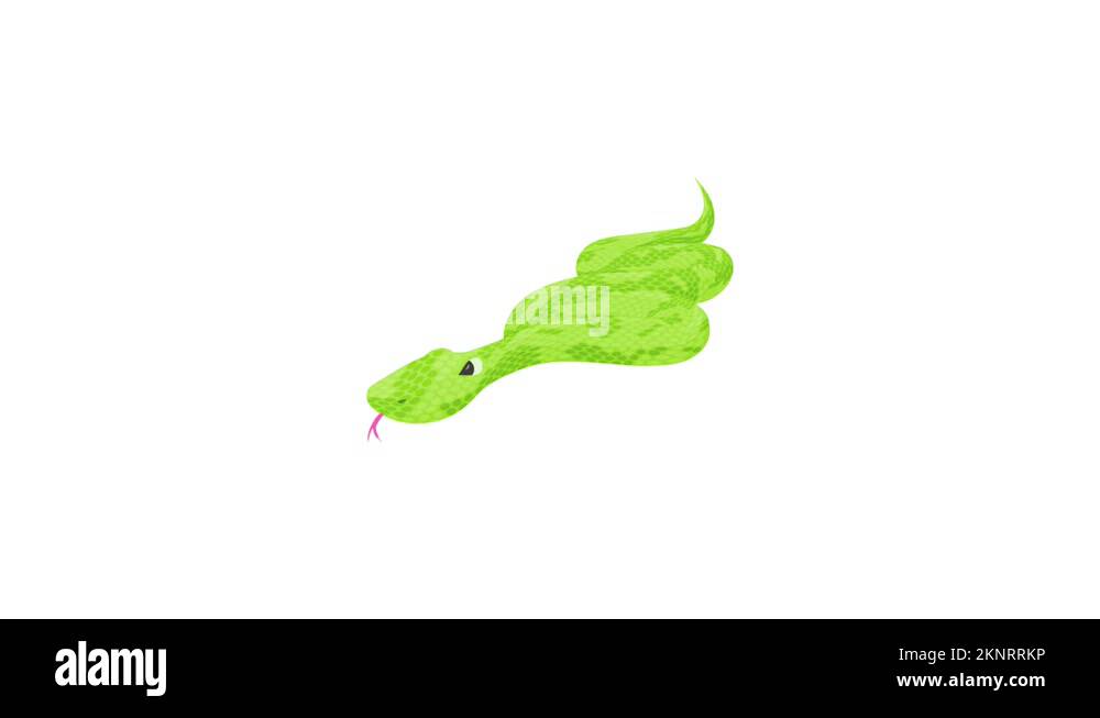 Cartoon snake Stock Videos & Footage - HD and 4K Video Clips - Alamy