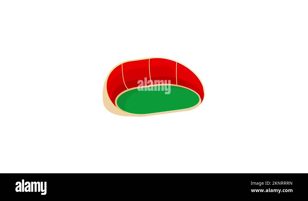 Stadium arena oval field Stock Videos & Footage - HD and 4K Video Clips ...