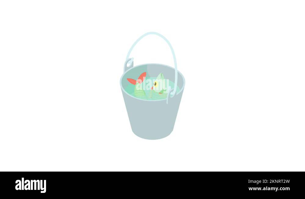 Bucket with fish Stock Videos & Footage - HD and 4K Video Clips - Alamy