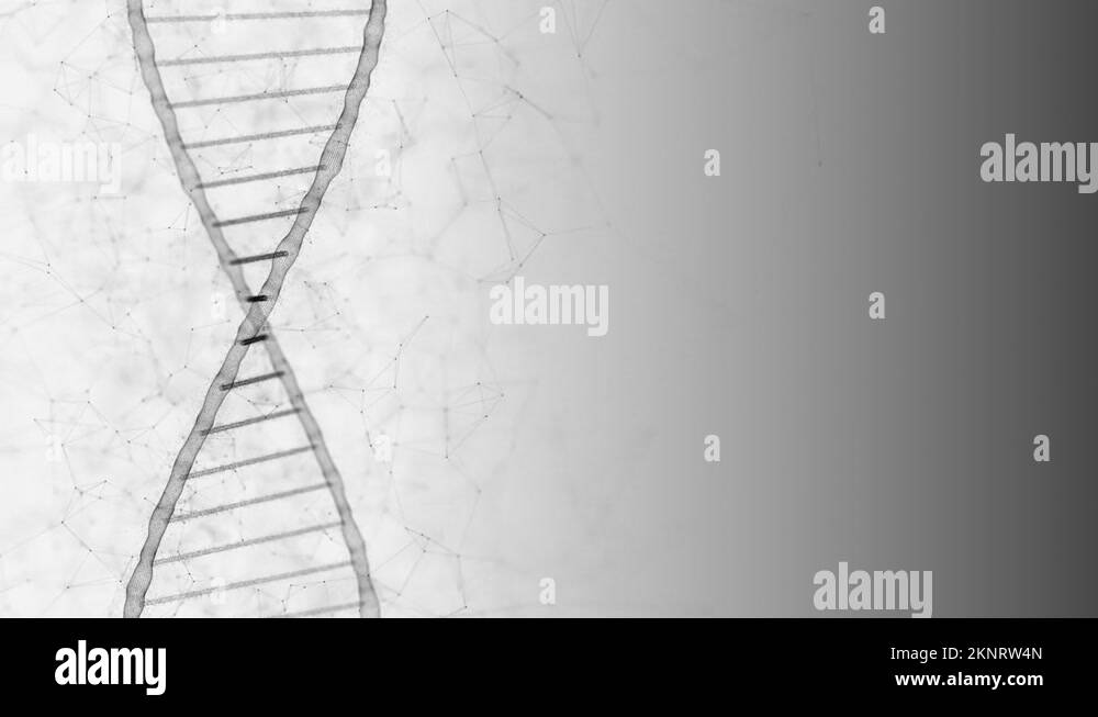 Dna sequence human genome Stock Videos & Footage - HD and 4K Video ...