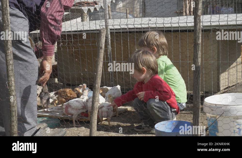 Love teach Stock Videos & Footage - HD and 4K Video Clips - Alamy