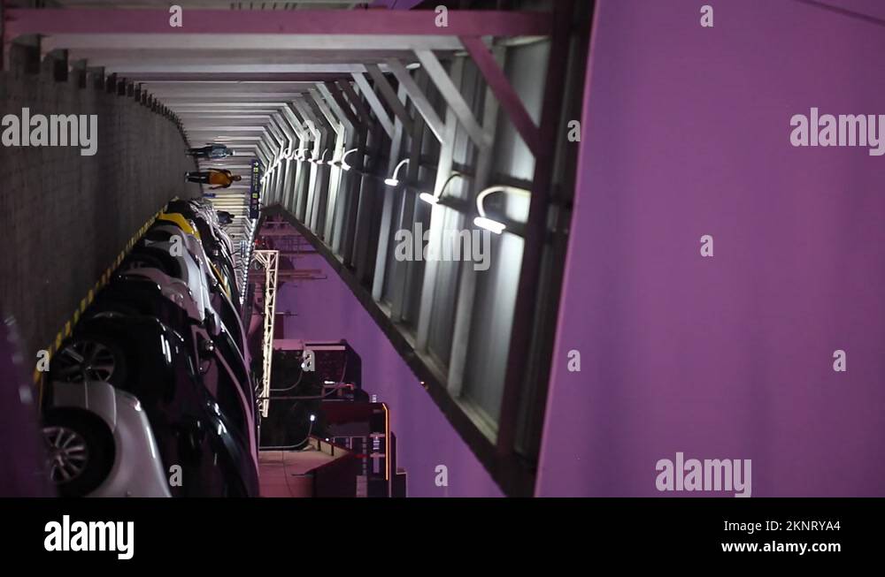People orientation Stock Videos & Footage - HD and 4K Video Clips - Alamy