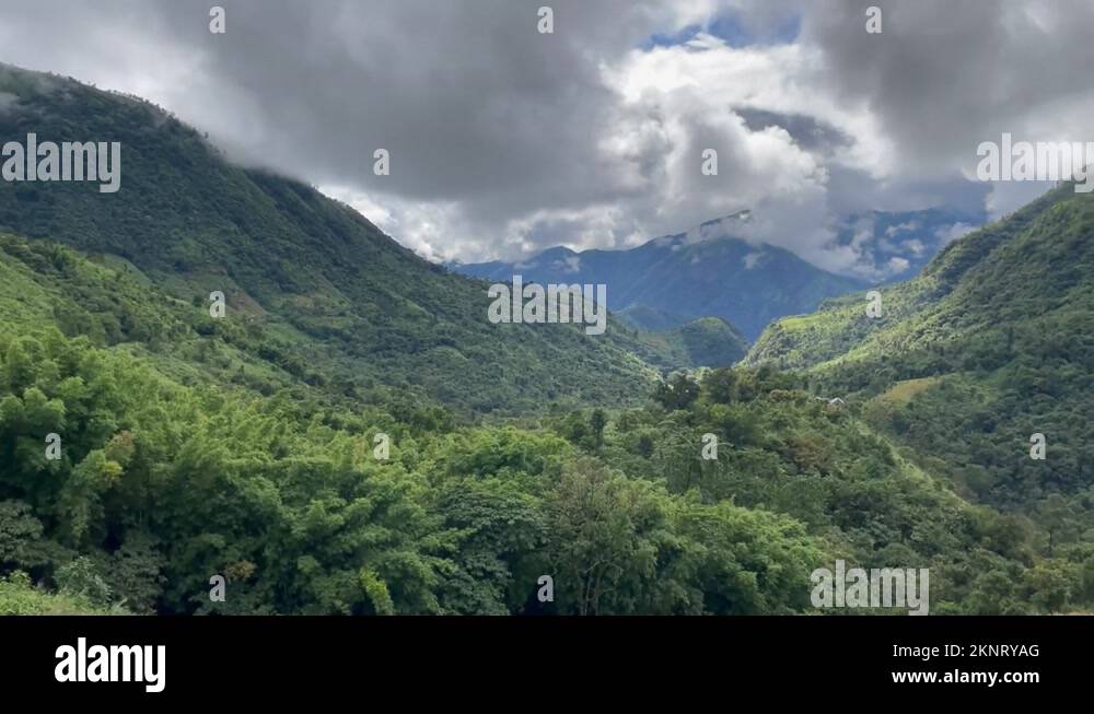 Verdant Forest In The Mountain Range Of Meghalaya In India. - wide ...