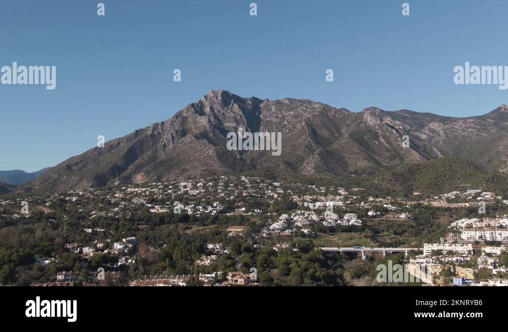 White concha Stock Videos & Footage - HD and 4K Video Clips - Alamy