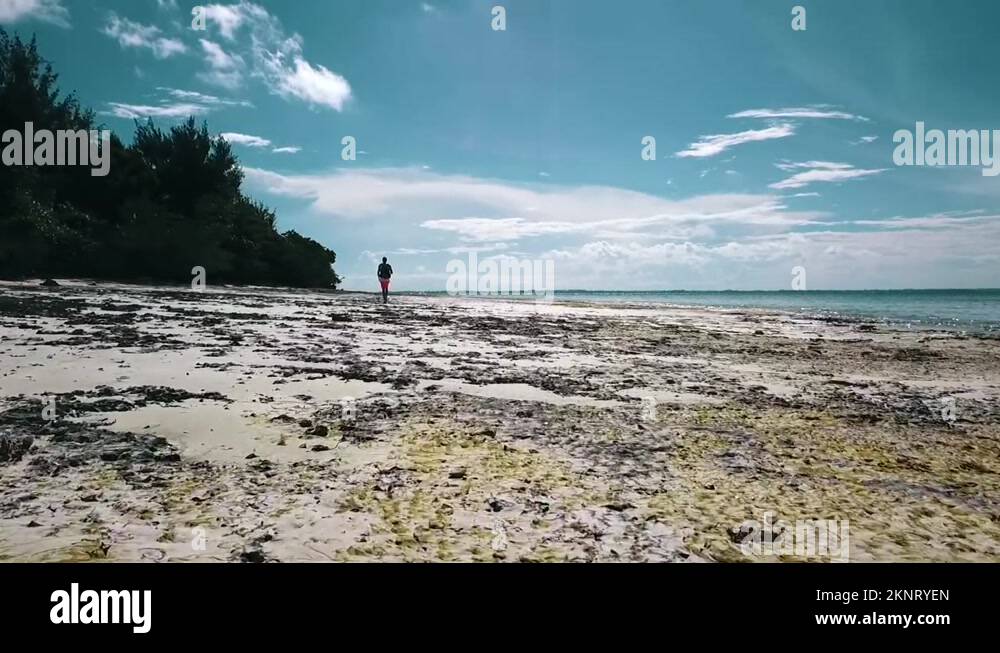 Great fast forwards slowly rise up drone shot. One guy walk at a dream ...