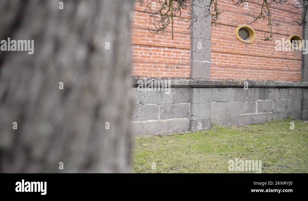 Mexican brick Stock Videos & Footage - HD and 4K Video Clips - Alamy