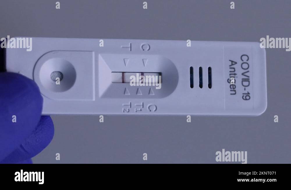 Antigen positive Stock Videos & Footage - HD and 4K Video Clips - Alamy