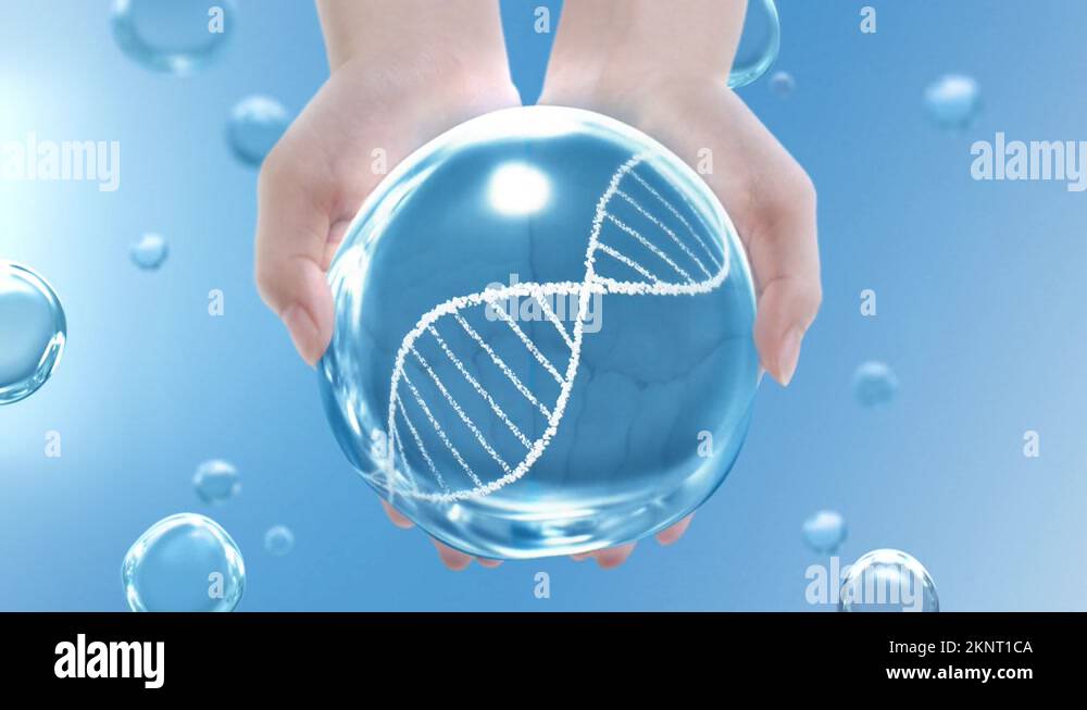 Female Beauty Cupped Hands Holding Looped Clean Water Drop and ...