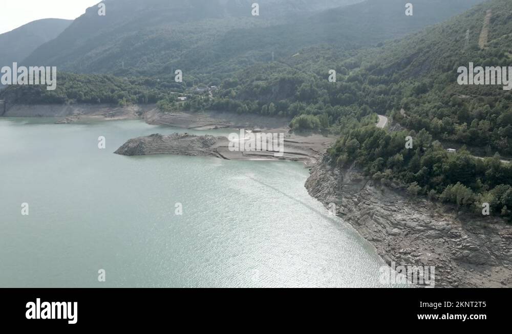 Ayous tree Stock Videos & Footage - HD and 4K Video Clips - Alamy