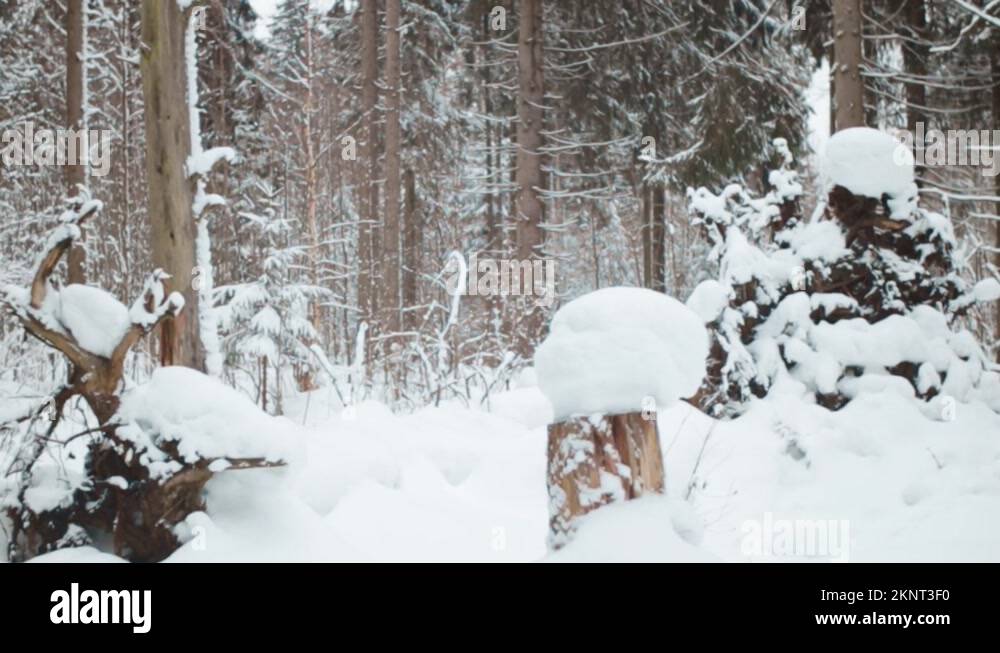 Snow edge Stock Videos & Footage - HD and 4K Video Clips - Alamy