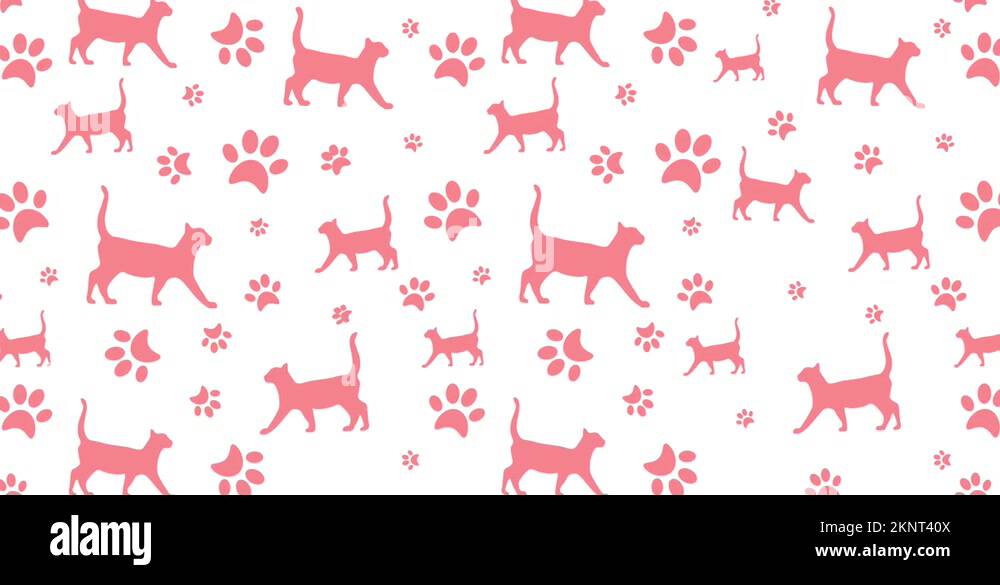 Cats footprints Stock Videos & Footage - HD and 4K Video Clips - Alamy