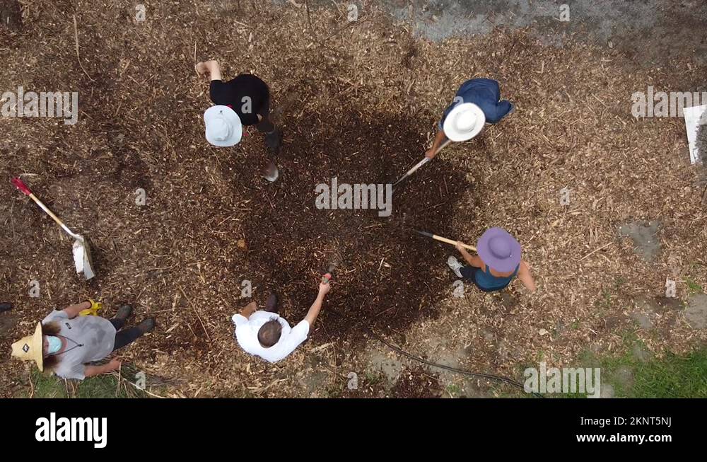 Compost decomposition Stock Videos & Footage - HD and 4K Video Clips - Alamy