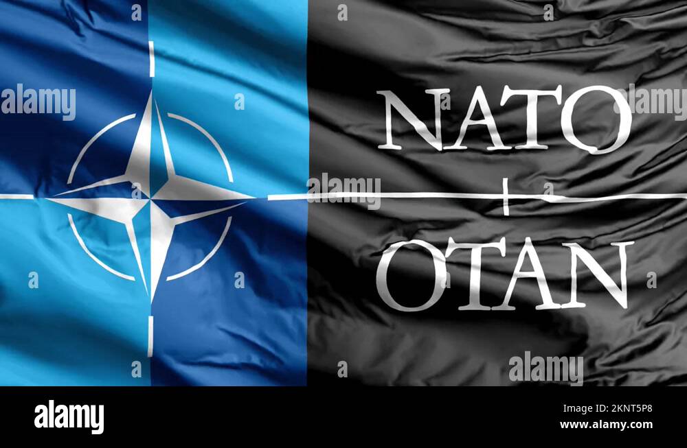 Flag of the north atlantic treaty organization Stock Videos & Footage ...