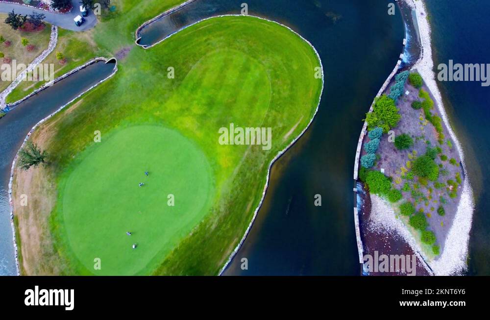 Golf course birds Stock Videos & Footage - HD and 4K Video Clips - Alamy