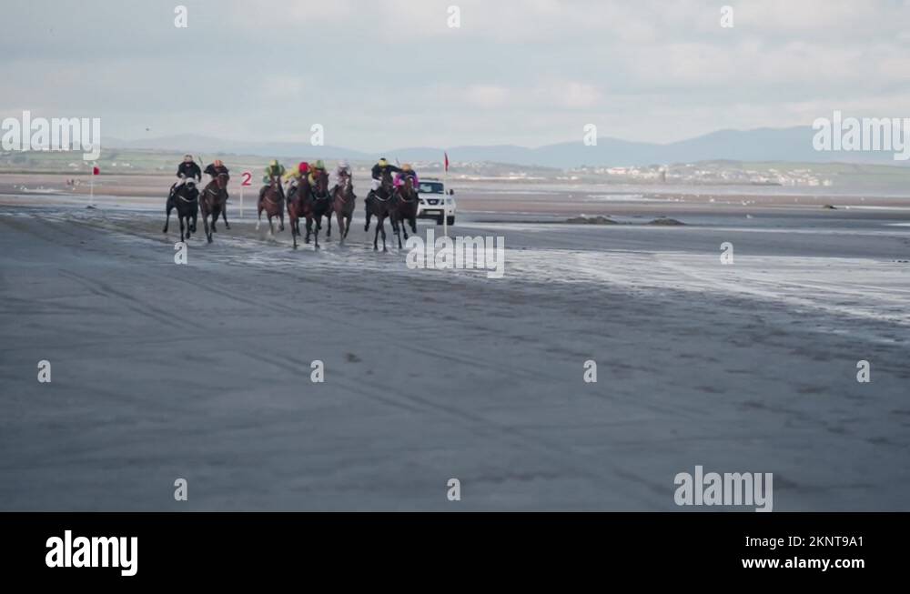 Canter racing horses Stock Videos & Footage - HD and 4K Video Clips - Alamy